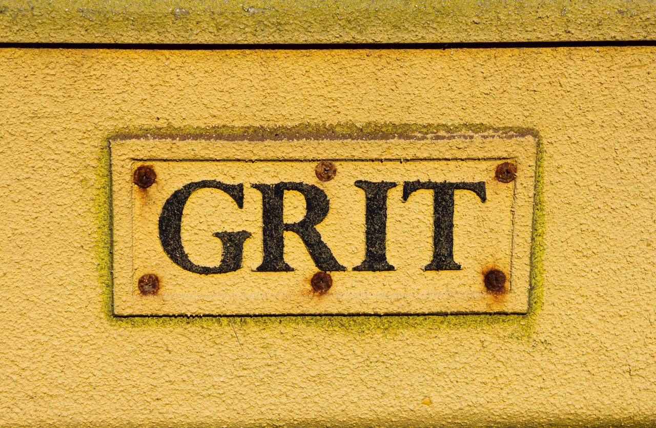 What is GRIT? - Now What?® Coaching